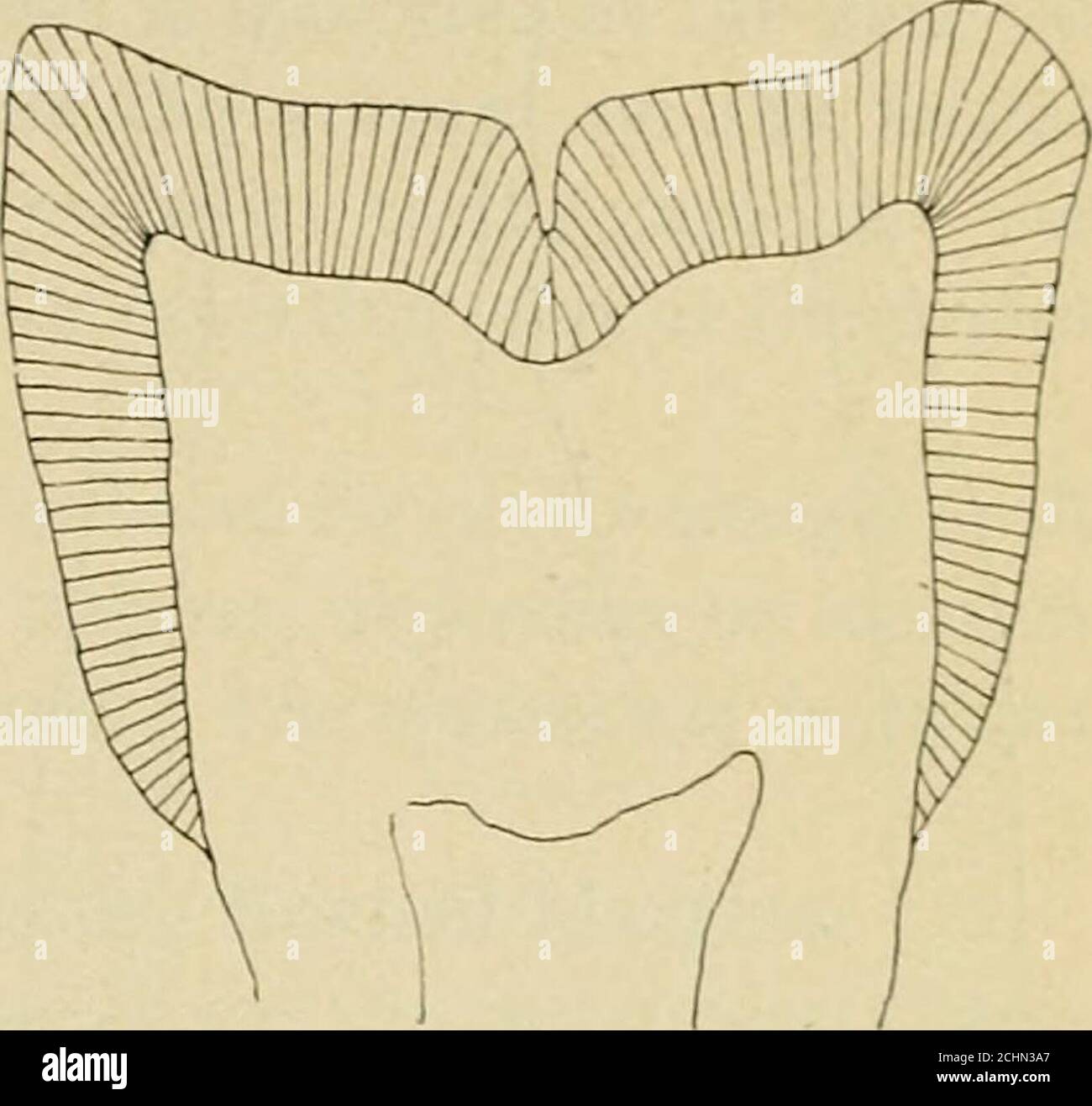 . Operative and dental anatomy technics; a class-room and laboratory ...