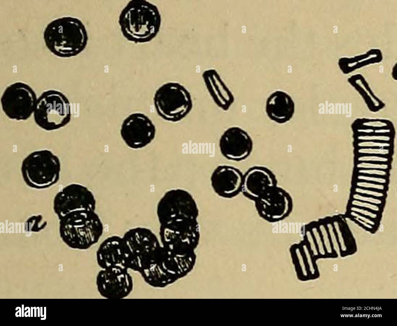 Bookidtruemanhoodm hi-res stock photography and images - Alamy