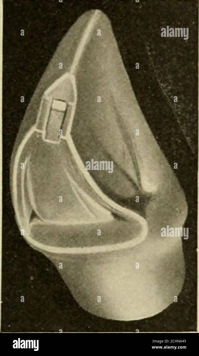 . Operative and dental anatomy technics; a class-room and laboratory ...