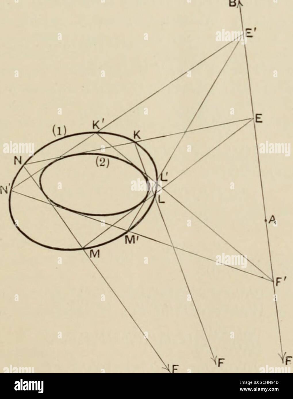. The principles of projective geometry applied to the straight line ...