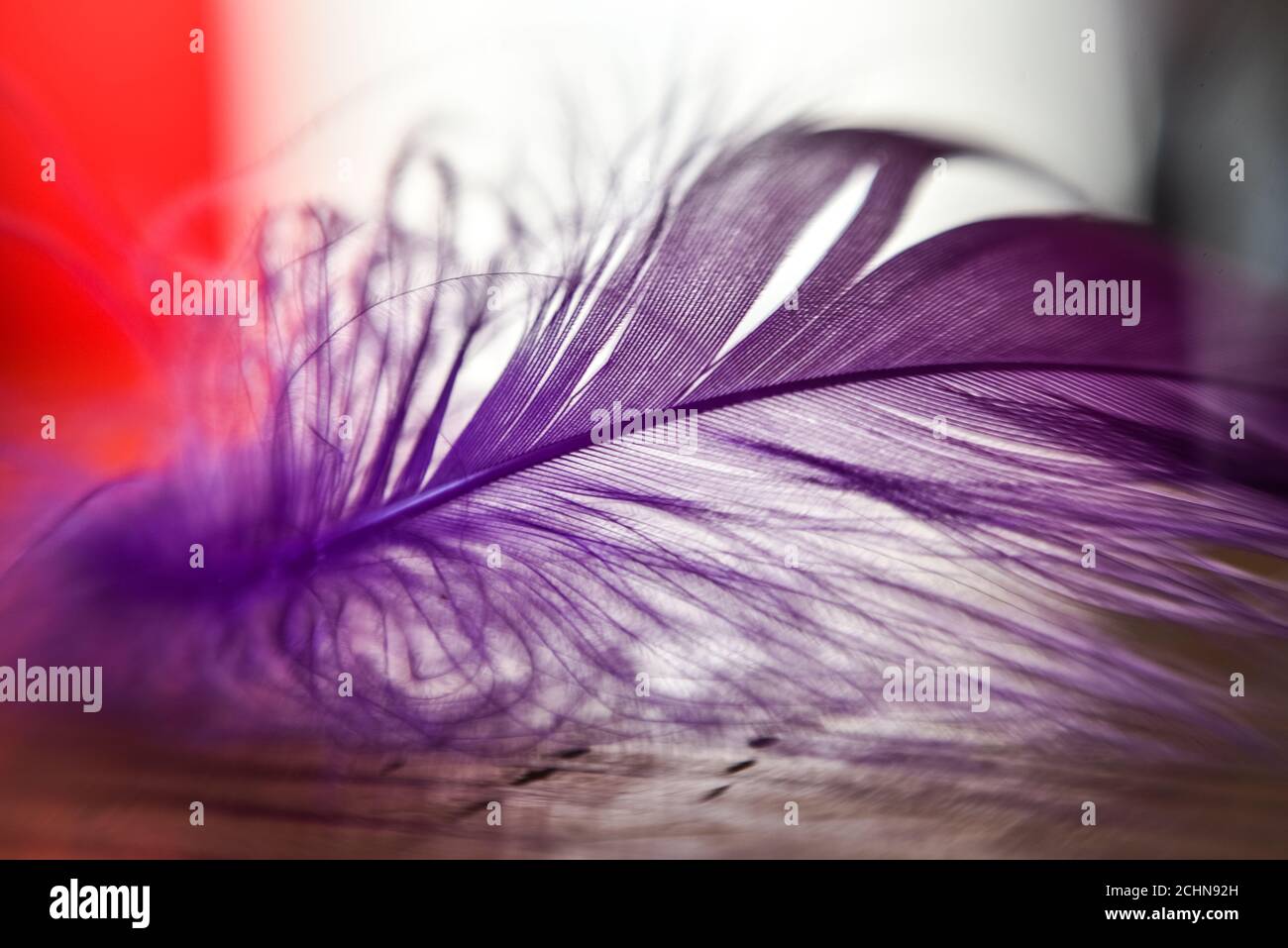 Shape of latvia hi-res stock photography and images - Alamy