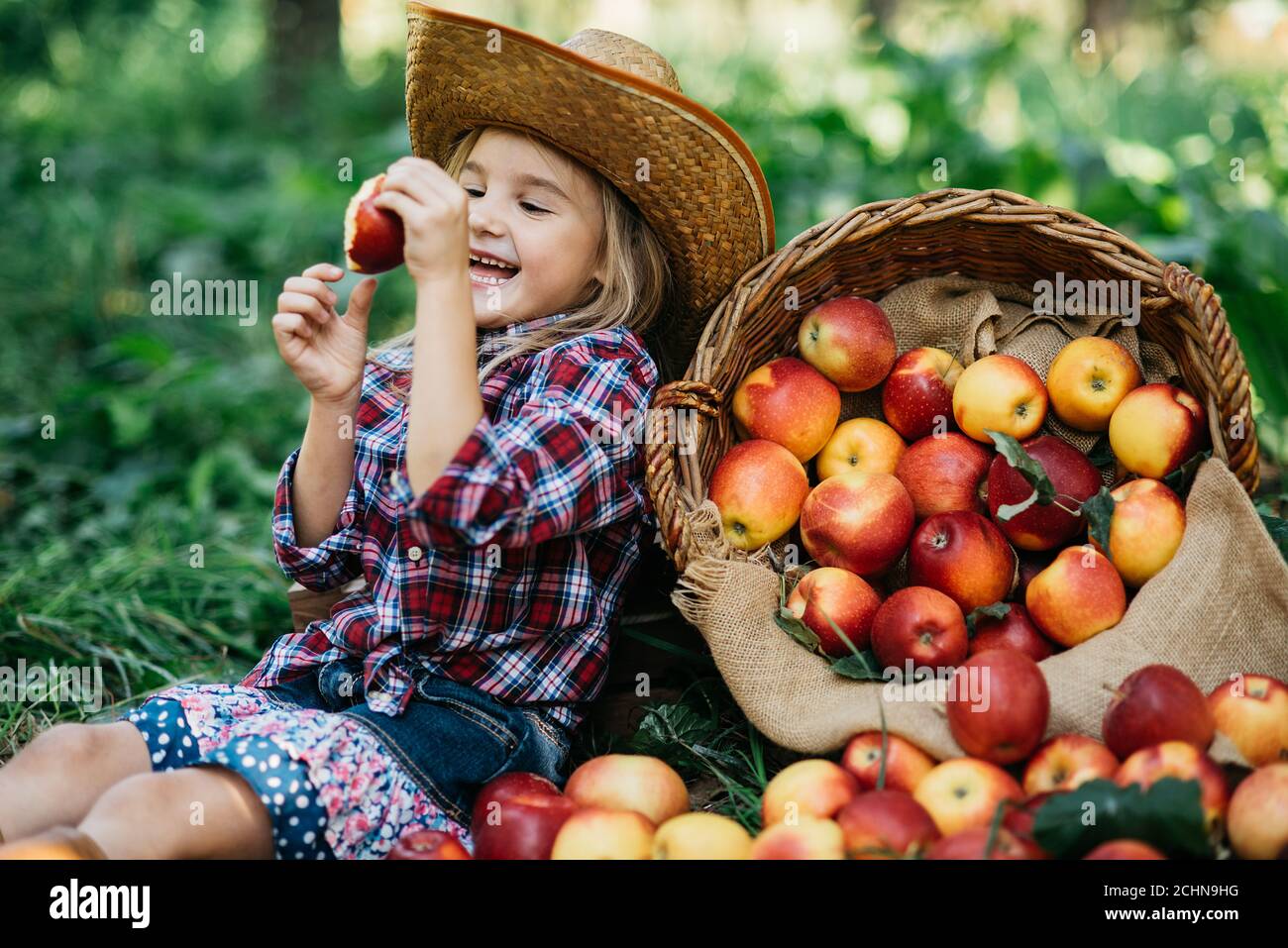 portrait of girl eating red organic apple outdoor. Harvest Concept ...