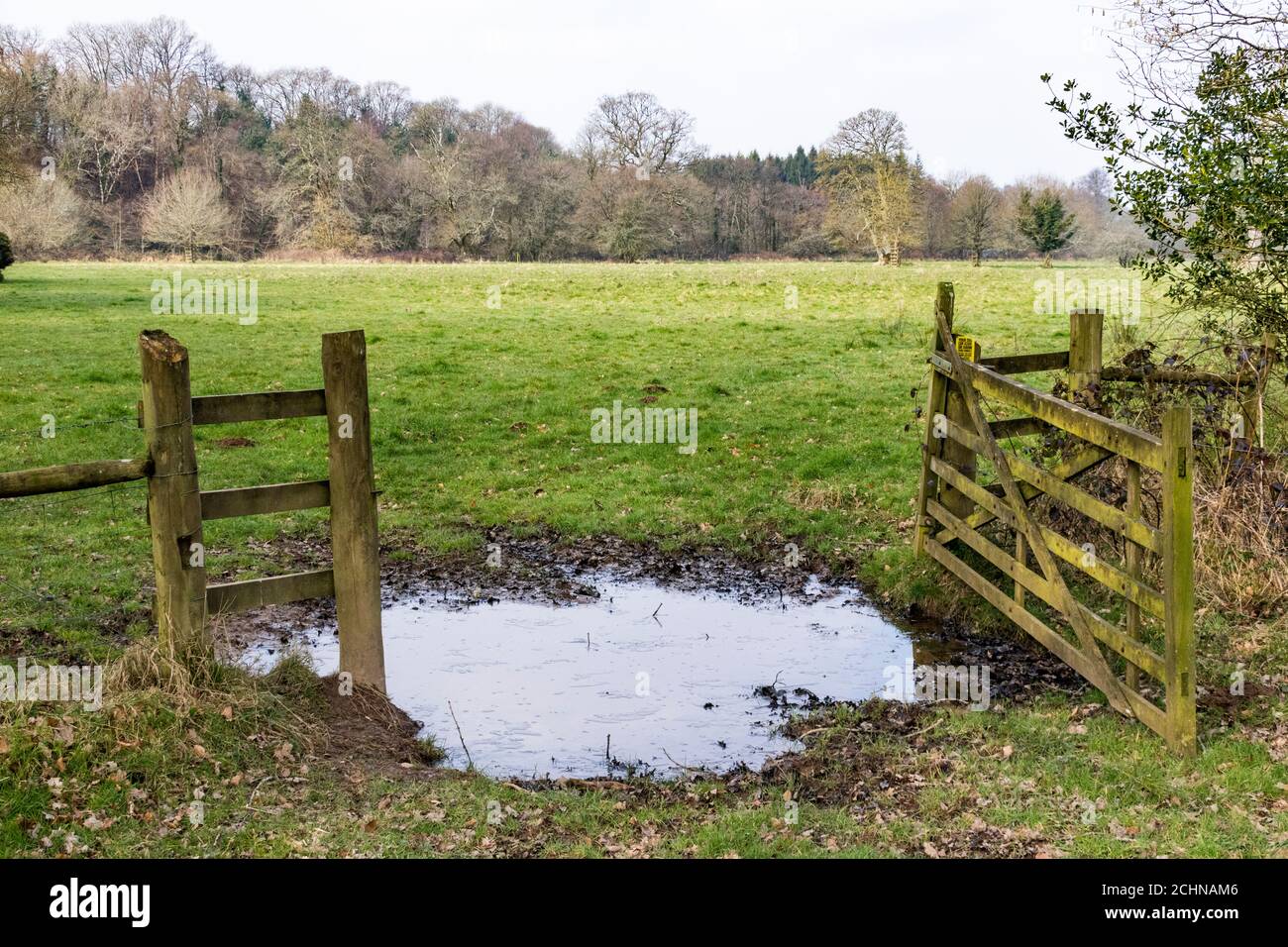 Image of an Open Farm Gate Leading Into a Devon Meadow in the Torridge ...