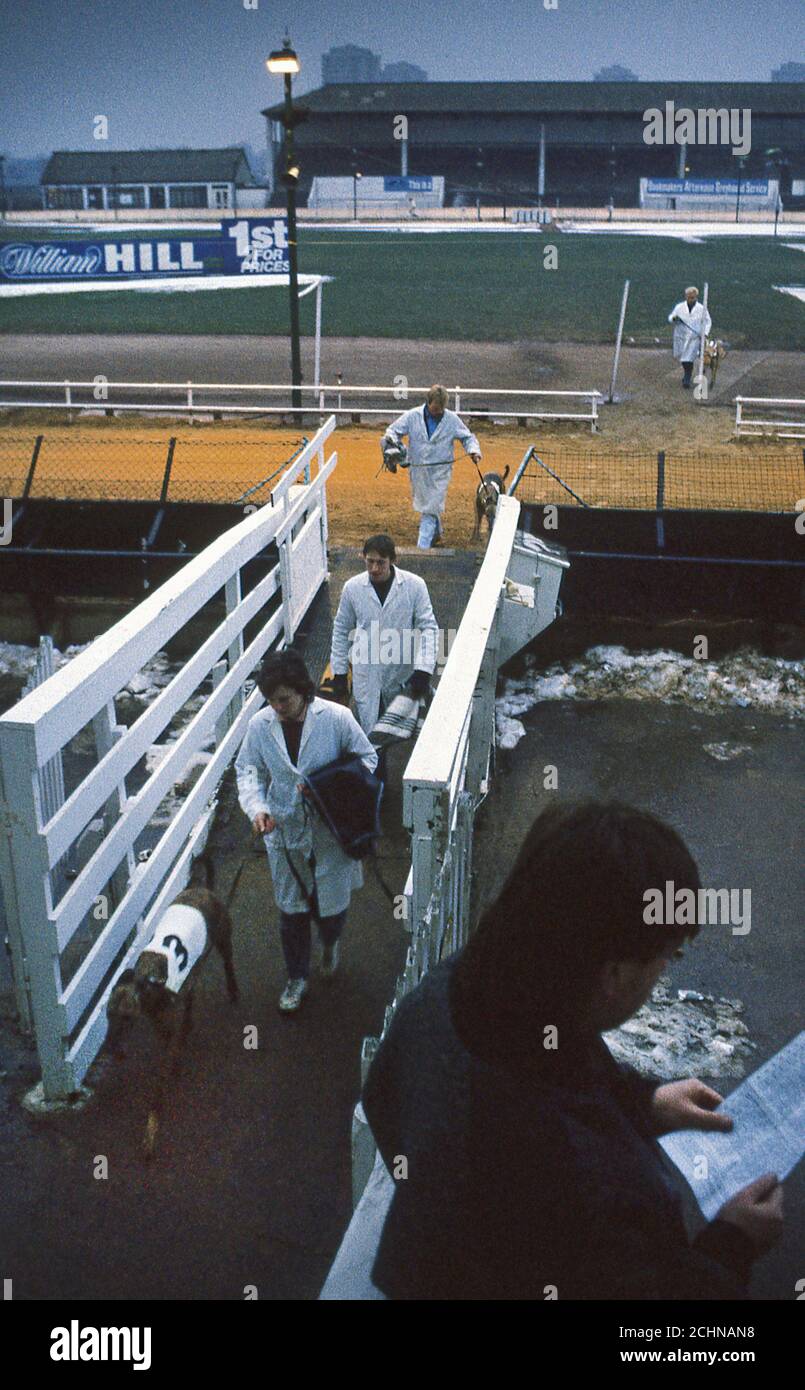 Hackney Greyhound Racing Stadium High Resolution Stock Photography and ...