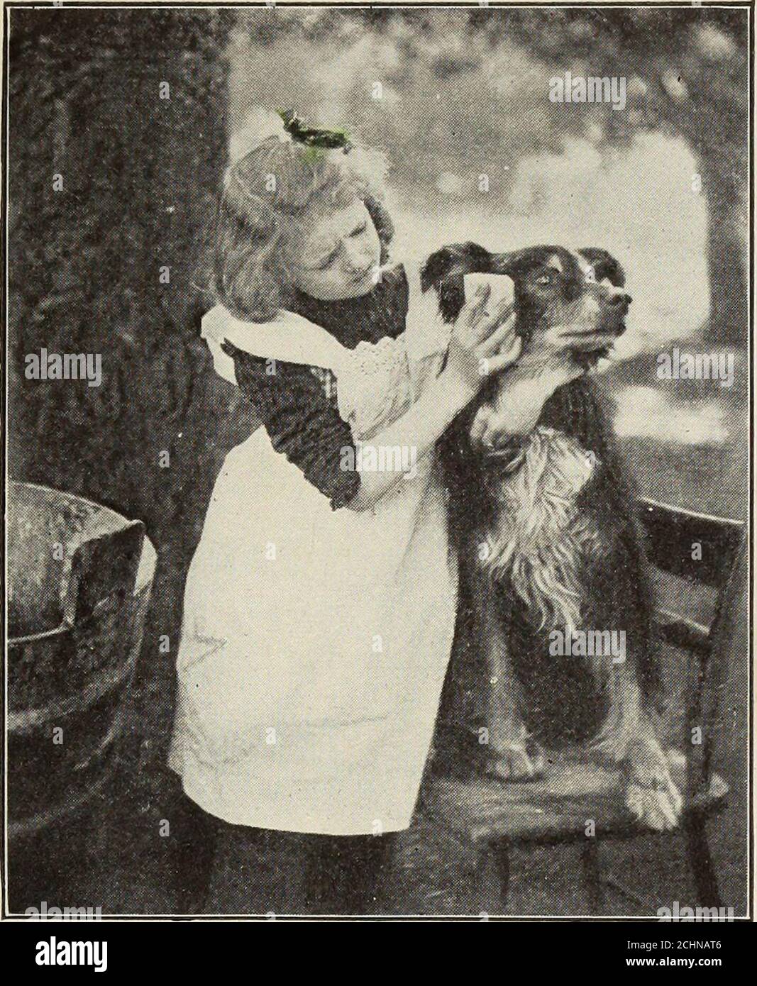 Fannies hi-res stock photography and images - Alamy
