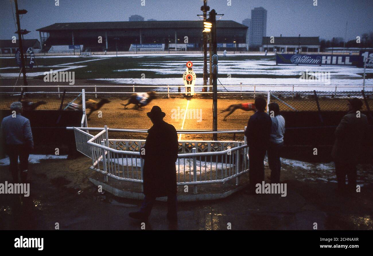 Hackney greyhound racing stadium hi-res stock photography and images ...