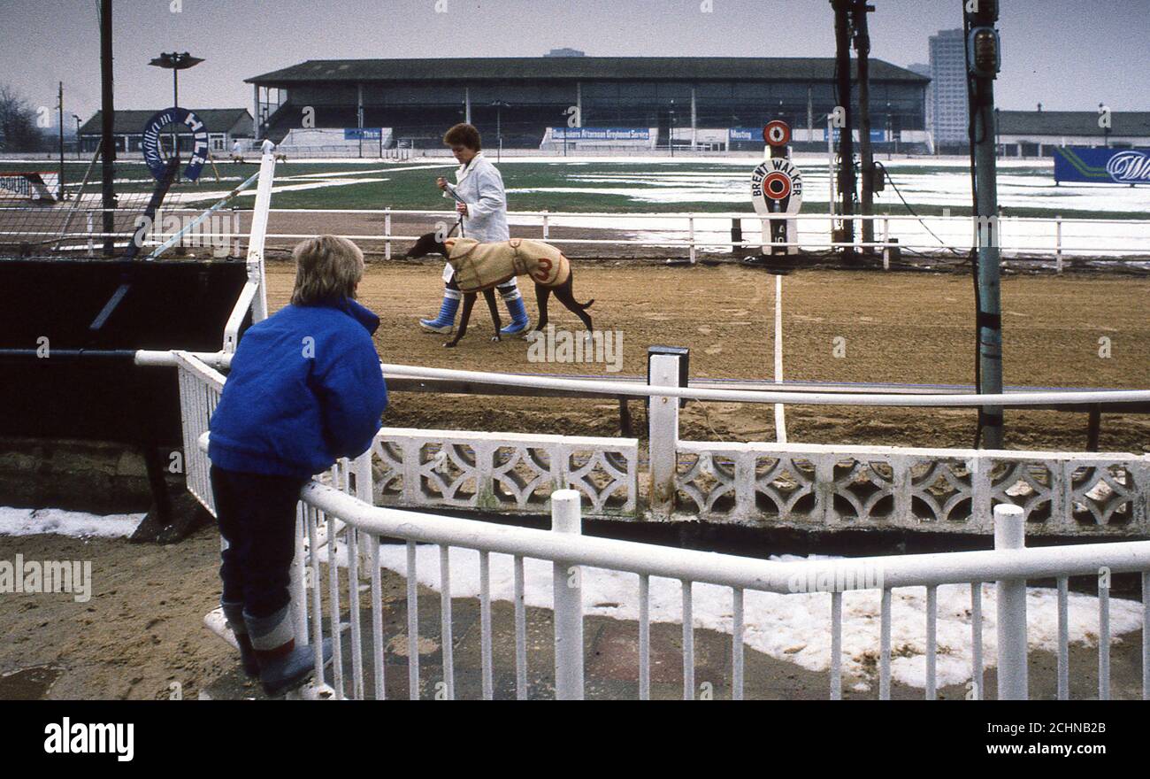 Hackney dog racing stadium hi-res stock photography and images - Alamy