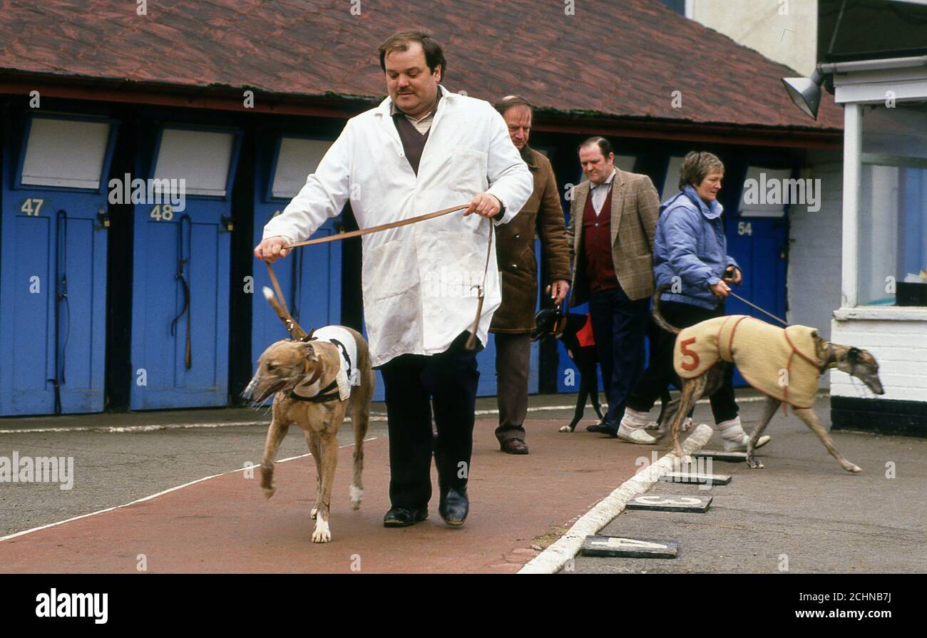 Hackney dog racing stadium hi-res stock photography and images - Alamy