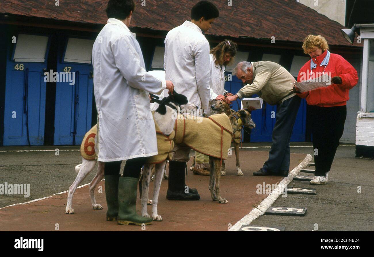 Brent Walker Hackney Greyhound racing stadium London UK. William Hill ...