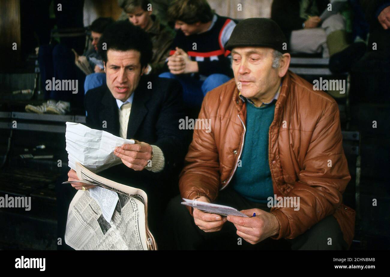 Hackney greyhound racing stadium hi-res stock photography and images ...