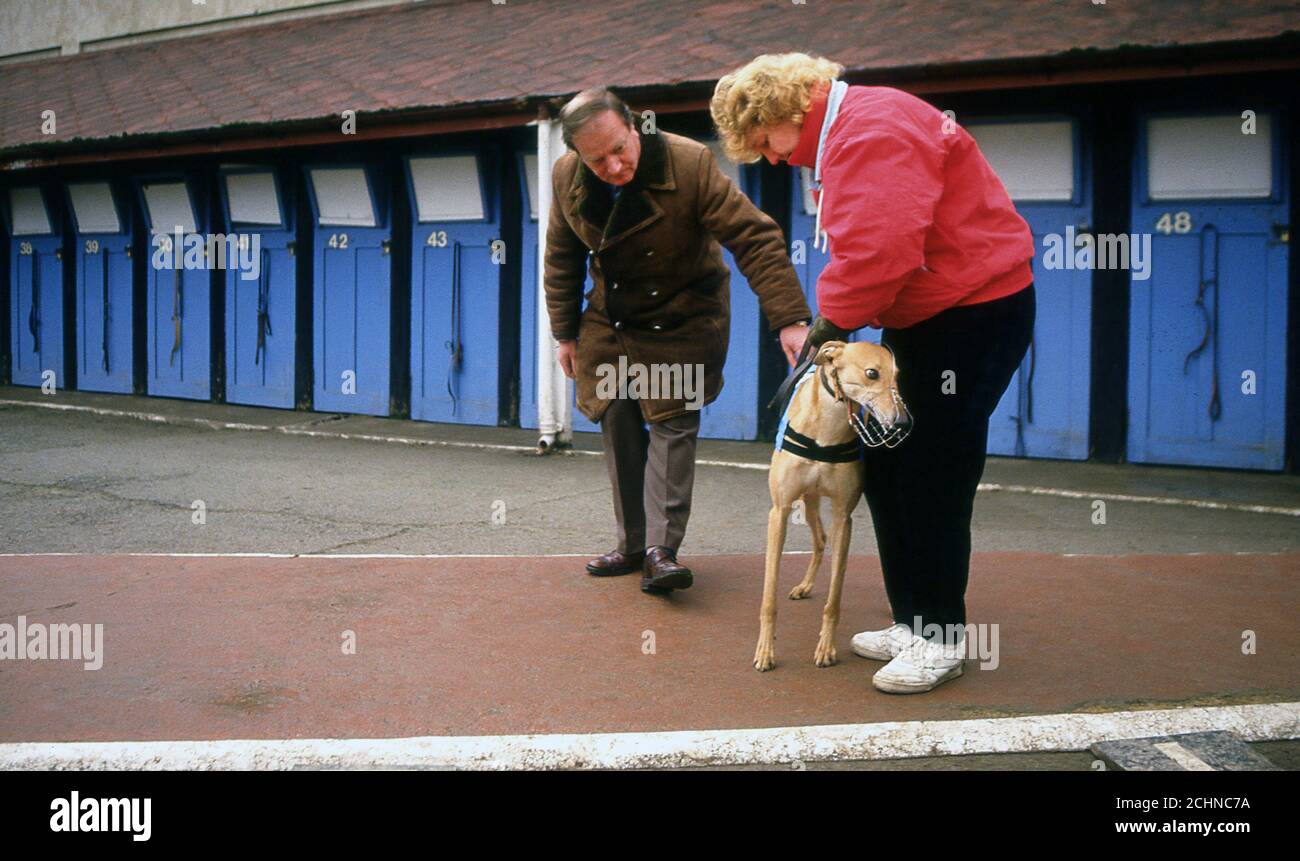 Brent Walker Hackney Greyhound racing stadium London UK. William Hill ...