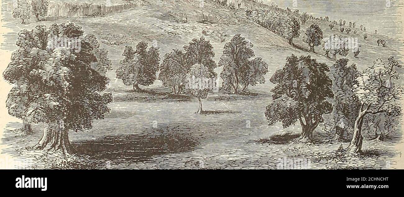 Daughter of talmai hi-res stock photography and images - Alamy