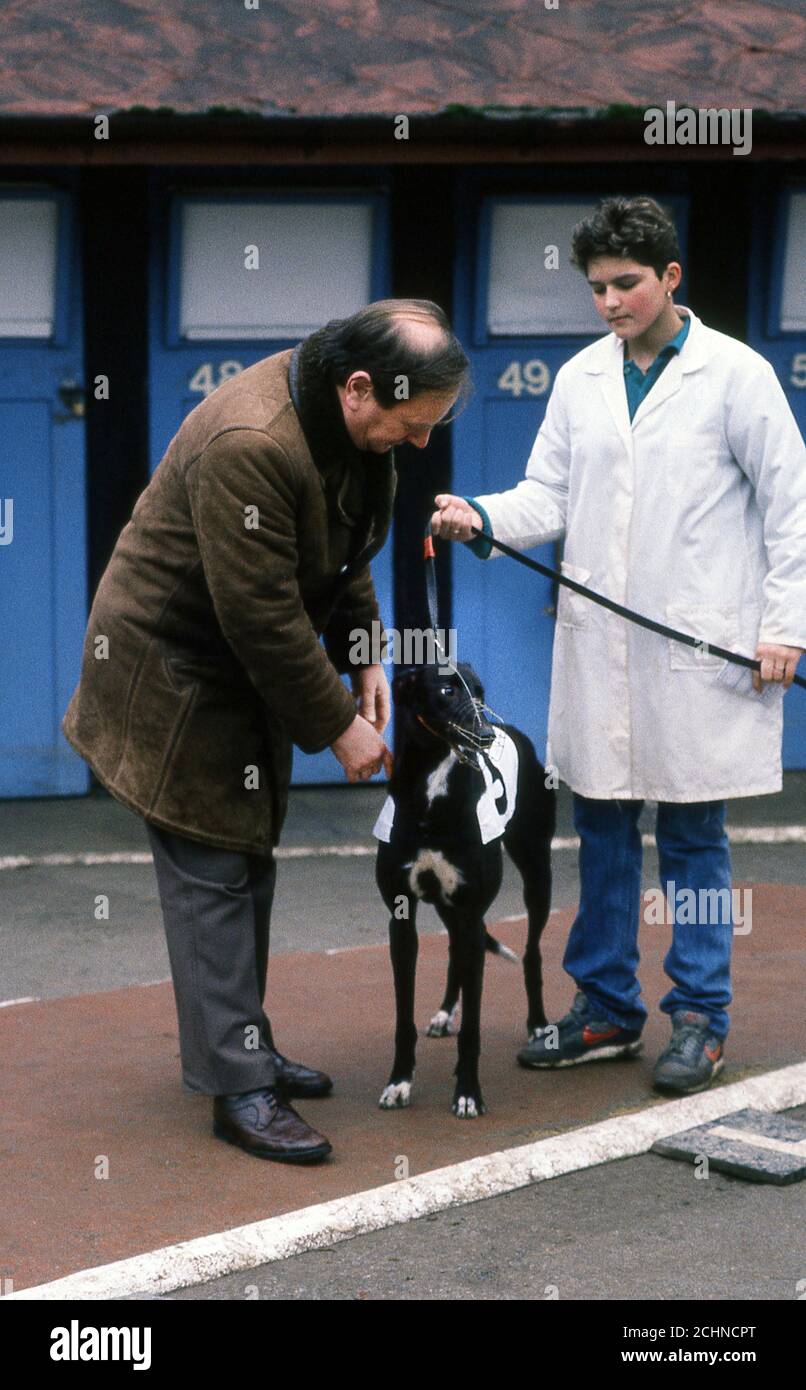 Hackney dog racing stadium hi-res stock photography and images - Alamy