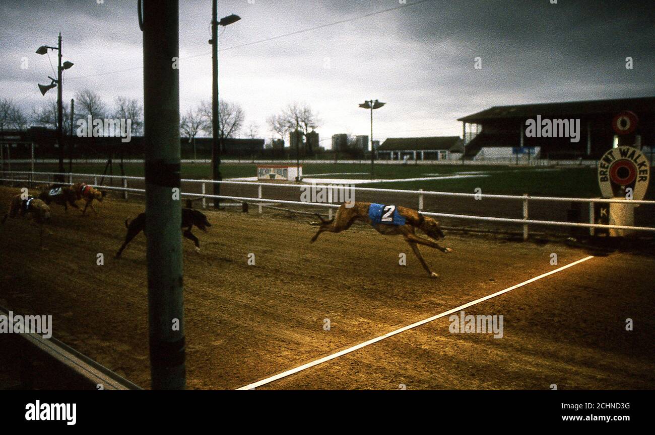 Brent Walker Hackney Greyhound racing stadium London UK. William Hill ...