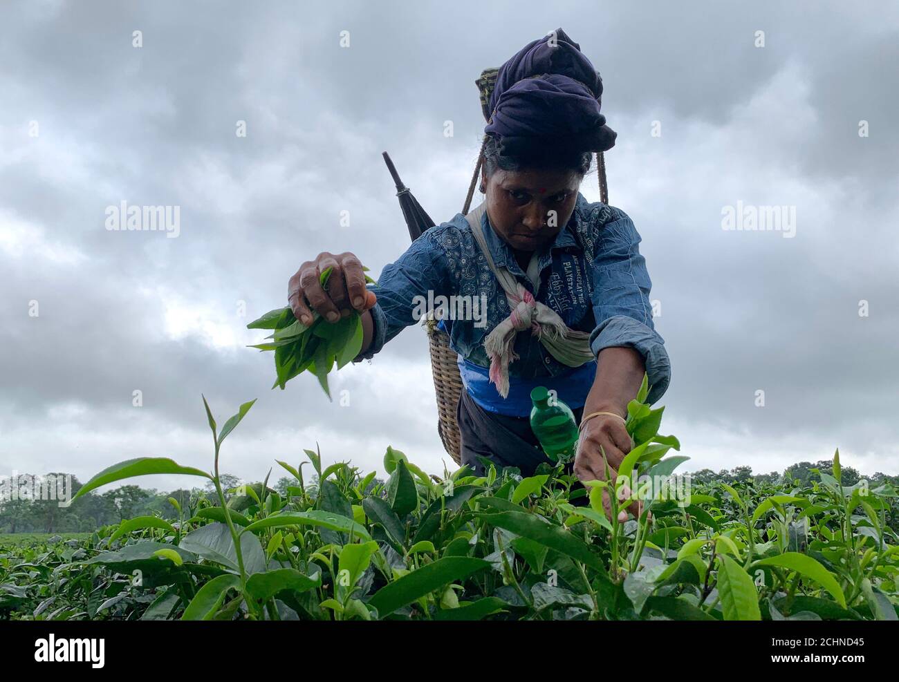 Baksa district of assam hi-res stock photography and images - Alamy