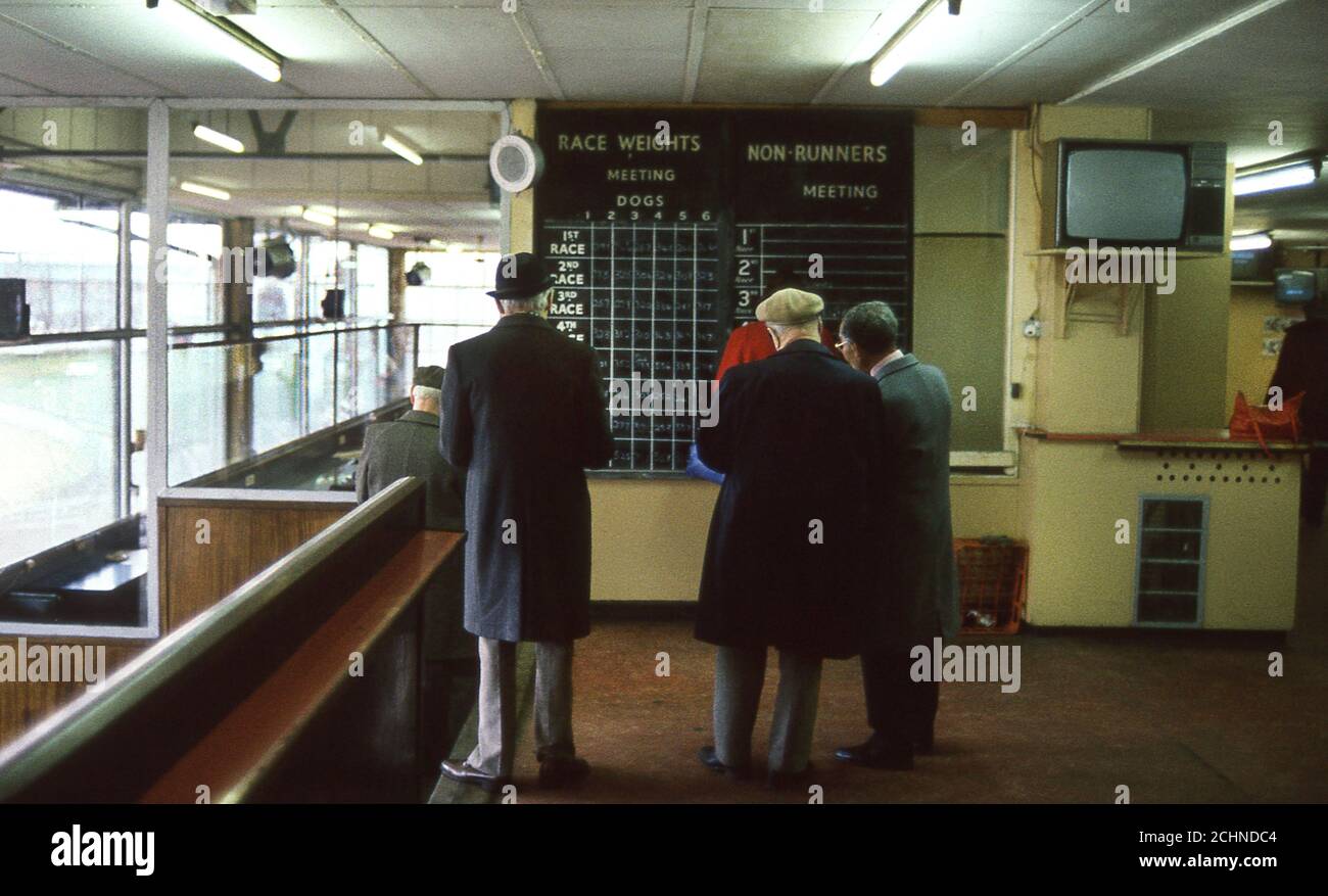 Hackney dog racing stadium hi-res stock photography and images - Alamy