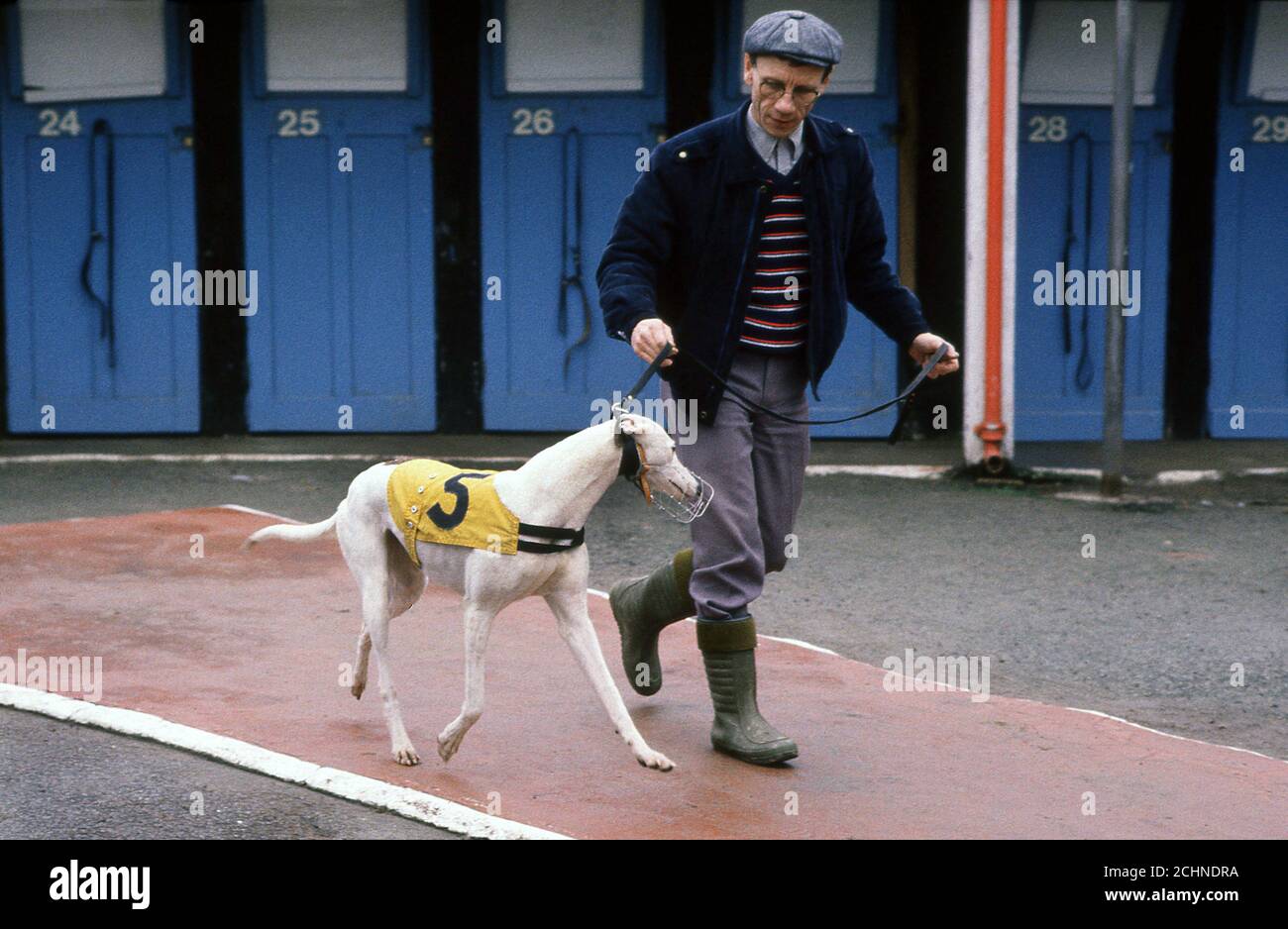 Brent Walker Hackney Greyhound racing stadium London UK. William Hill ...