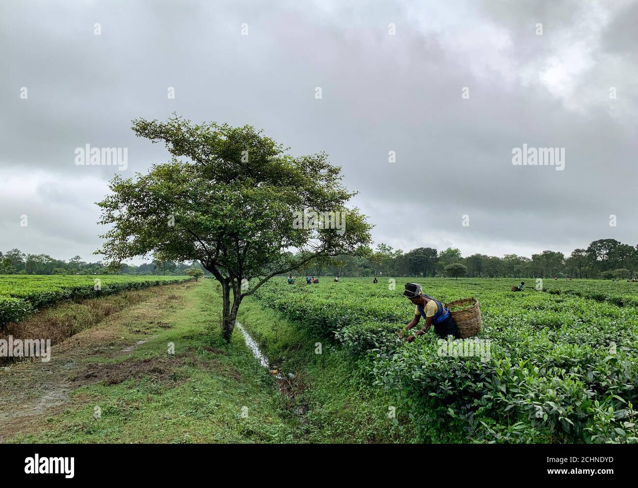 Baksa district of assam hi-res stock photography and images - Alamy