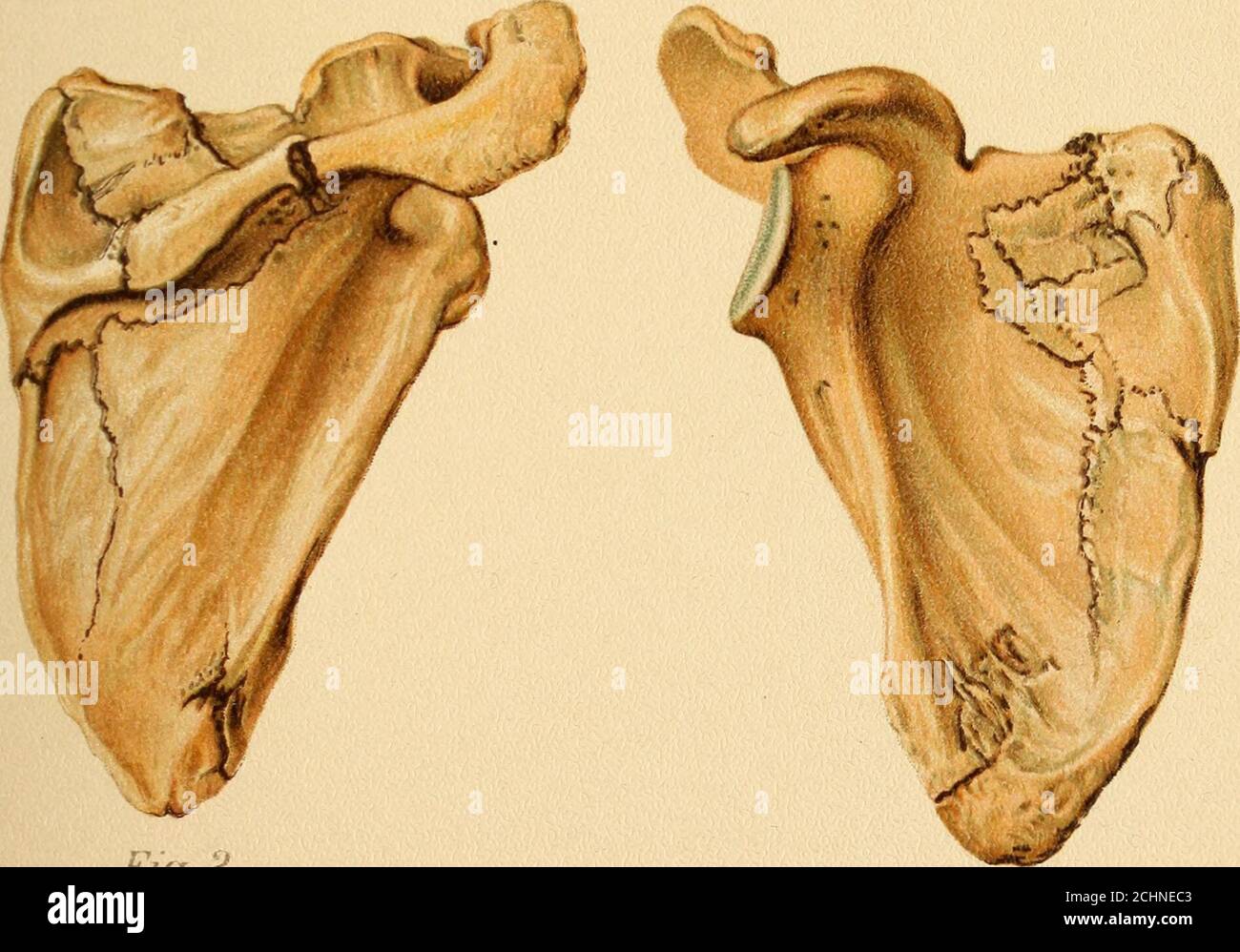 Movefrom hi-res stock photography and images - Alamy