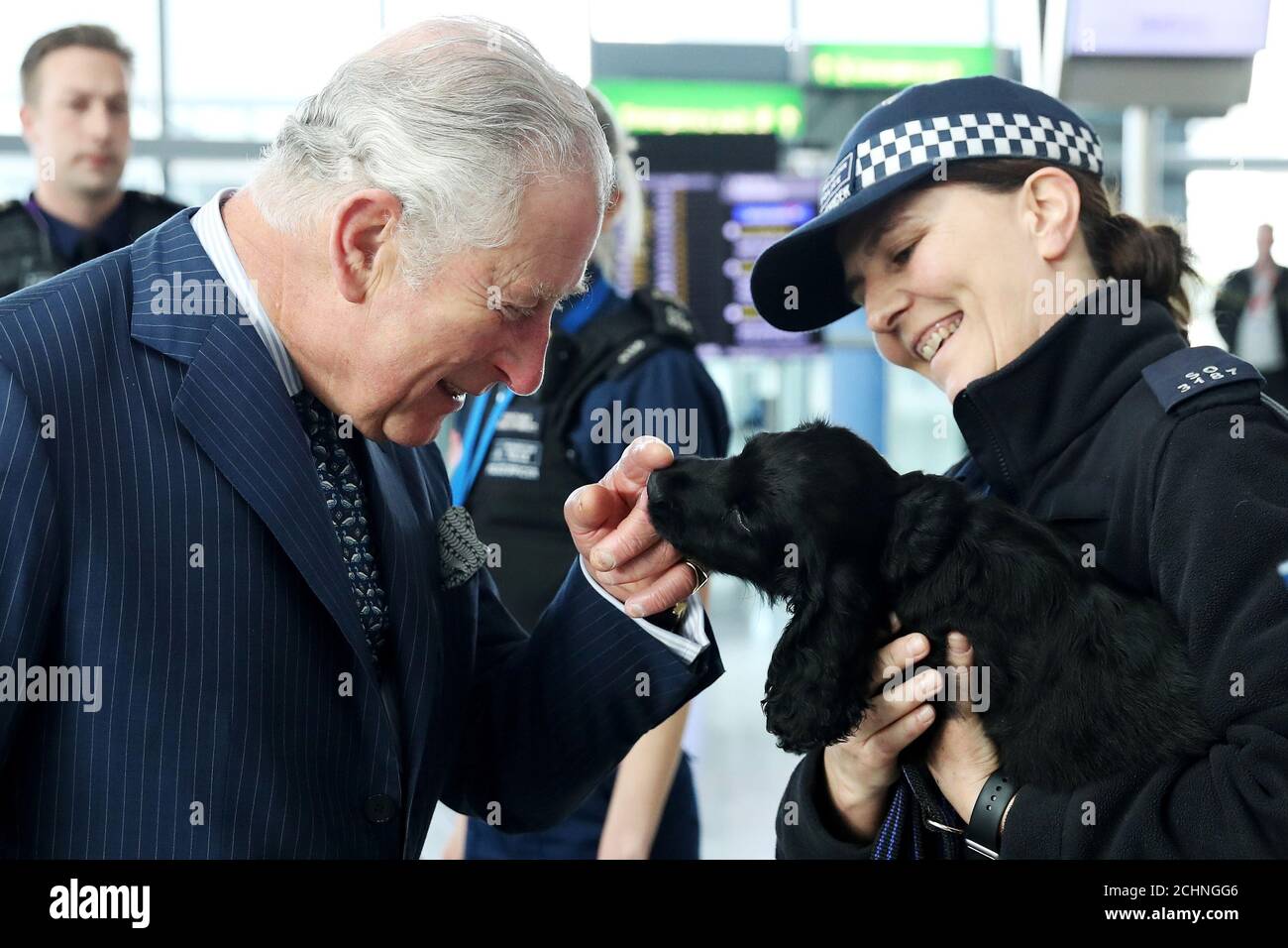 Prince charles spaniel hi-res stock photography and images - Alamy