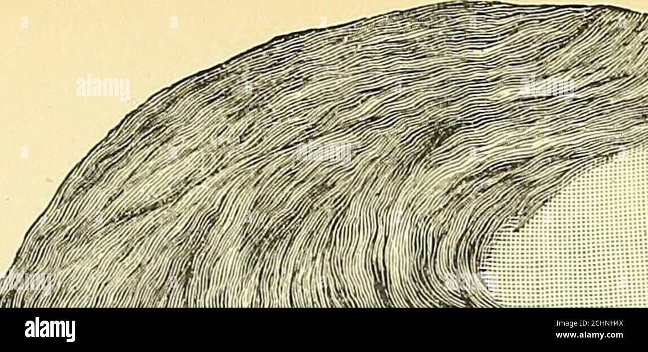 . Text-book of operative surgery . ing the entire fieldof Operation ...