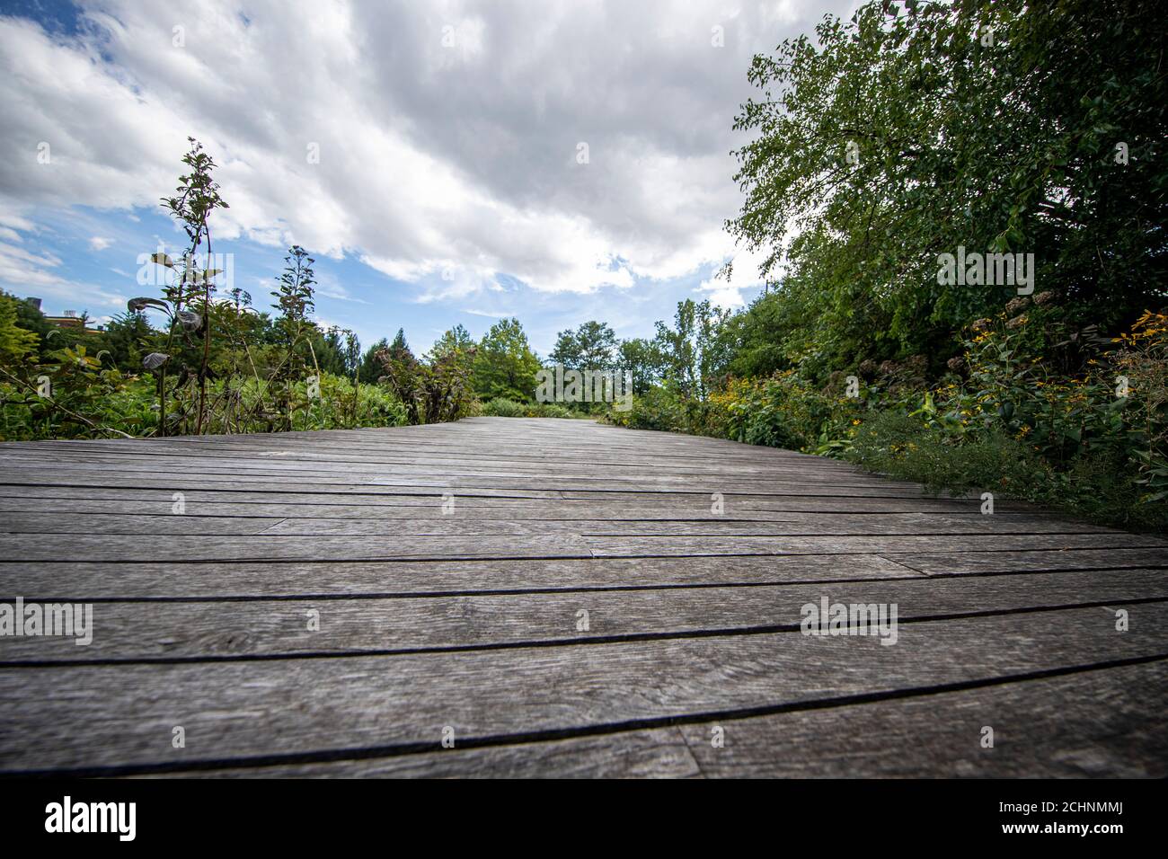The Naval Cemetery Landscape near the Brooklyn Navy Yard in New York ...