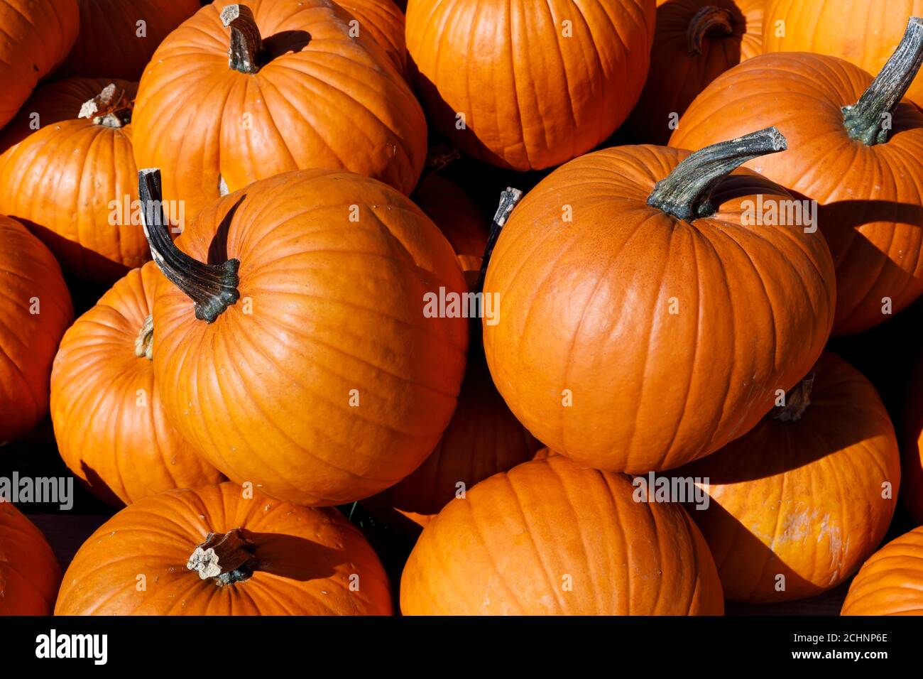 Colourful natural background hi-res stock photography and images - Alamy