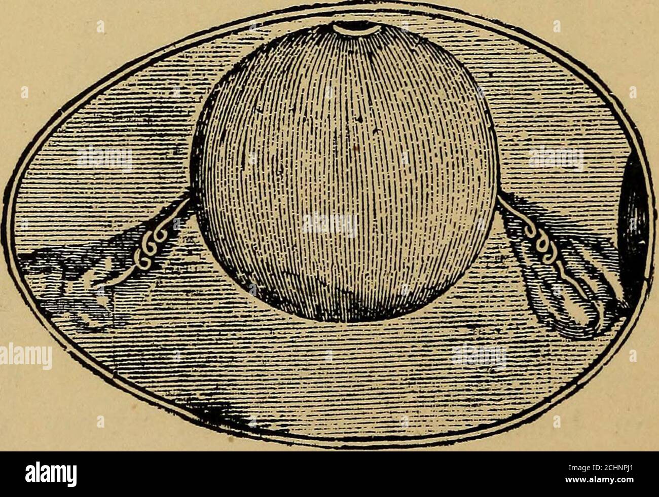 Manhood size hi-res stock photography and images - Alamy