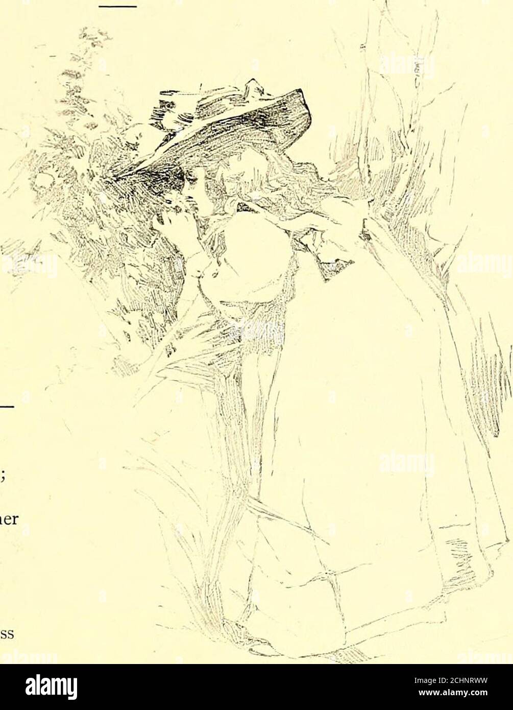 Katy wild hi-res stock photography and images - Alamy