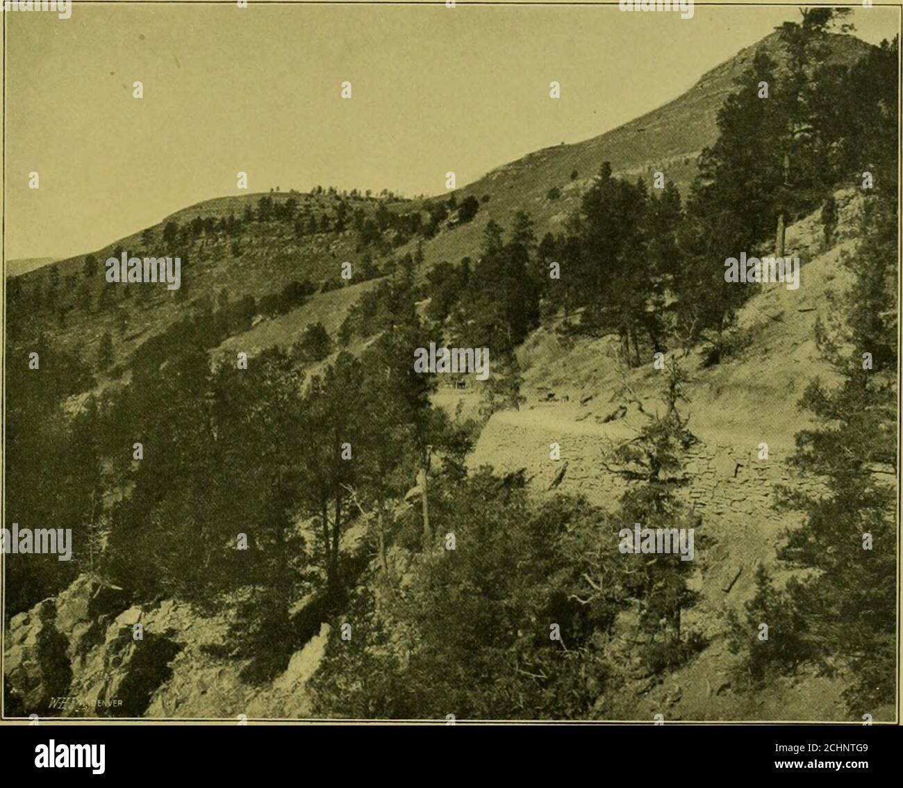 . Las Vegas, Gallimac park and the scenic highway . GALLINAS CANON ...