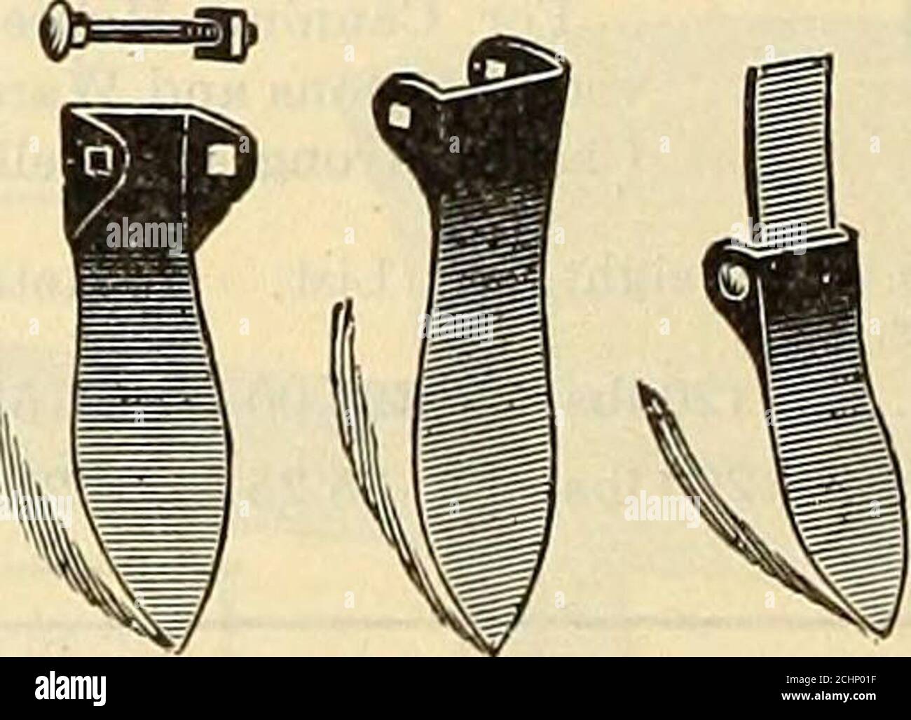 Pivot tooth hi-res stock photography and images - Alamy