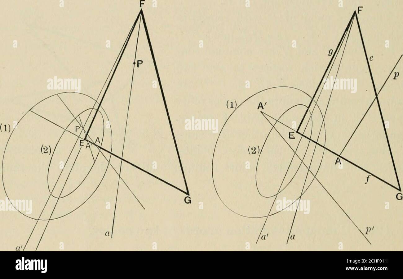 . The principles of projective geometry applied to the straight line ...