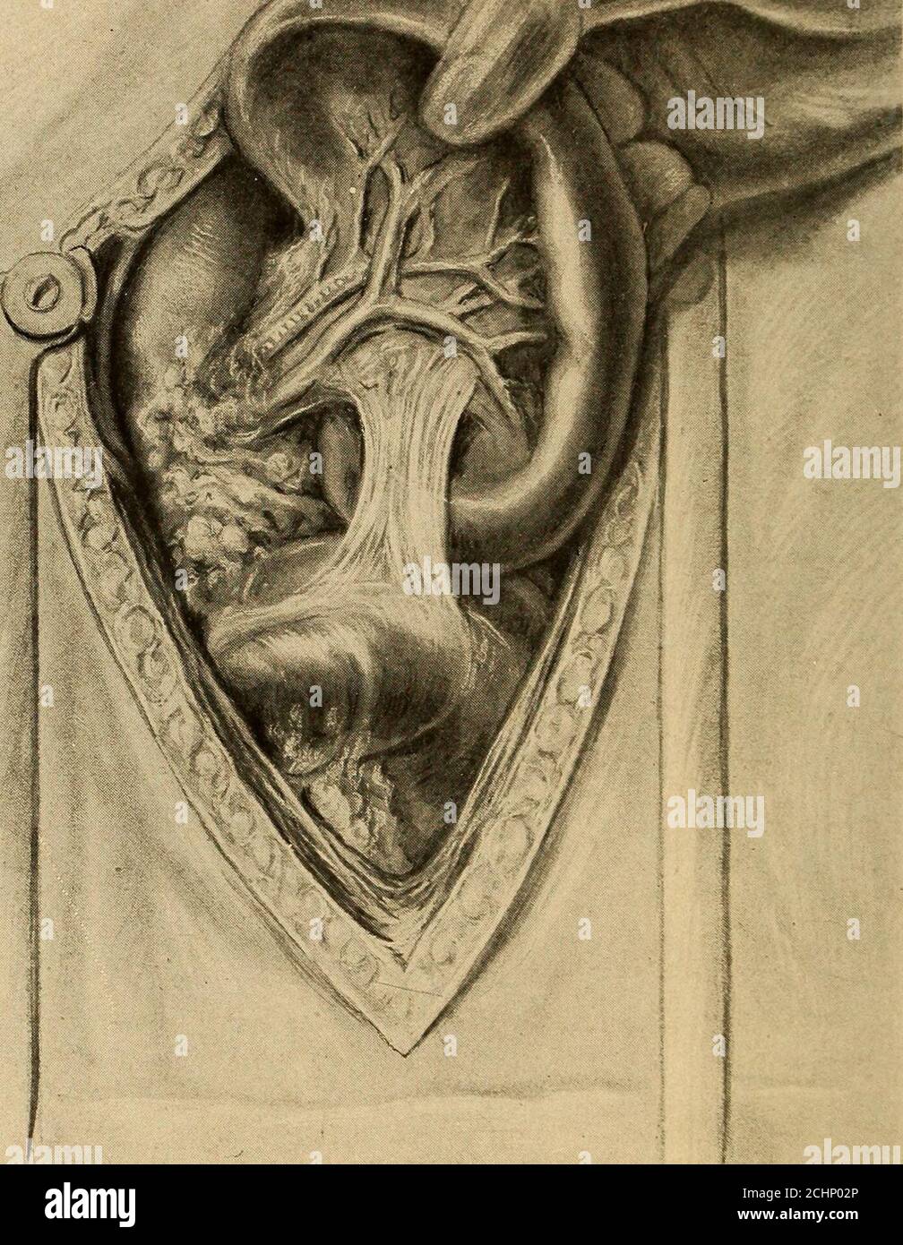 . The spleen and anæmia; experimental and clinical studies . m. The ...