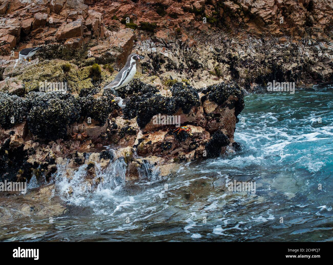Rock Formation and Soaring Cliffs, Paracas, Ballestas Island, Paracas ...