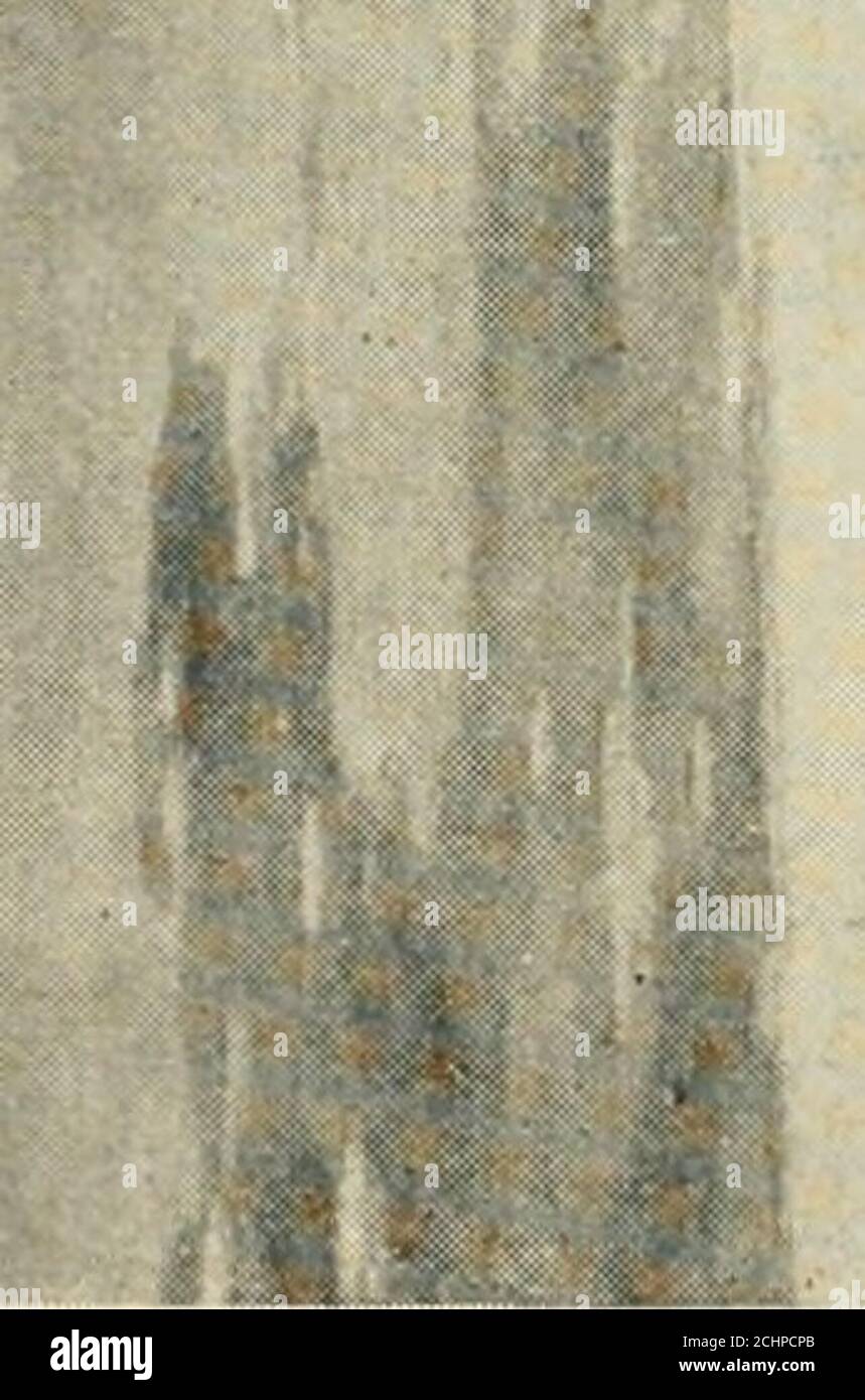 . Social center features in new elementary school architecture and the ...