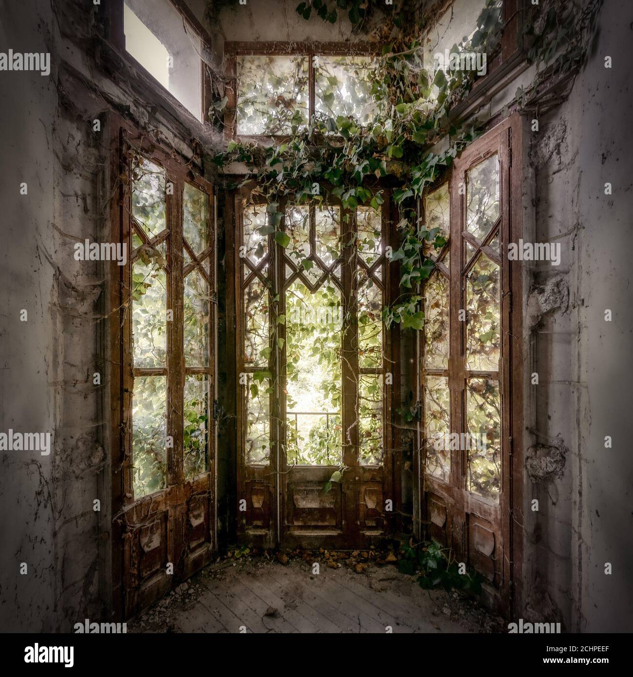 Inside of an abandoned castle in France Stock Photo - Alamy