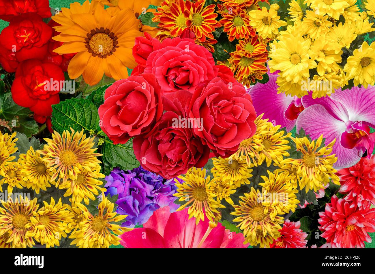 abstract wallpaper, background with a bouquet of colorful flowers, top ...