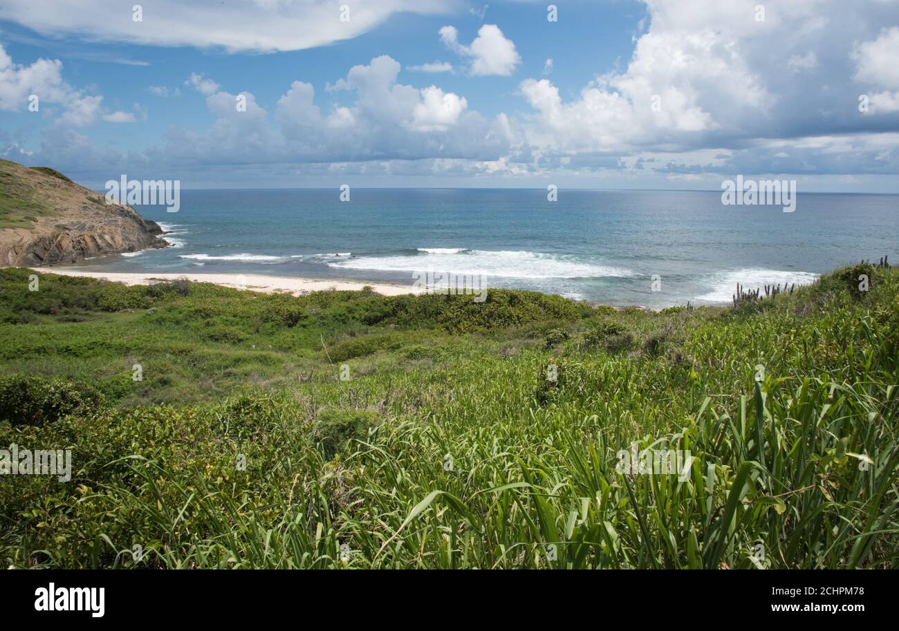 Stunning Caribbean Sea view with rolling waves and lush, coastal ...
