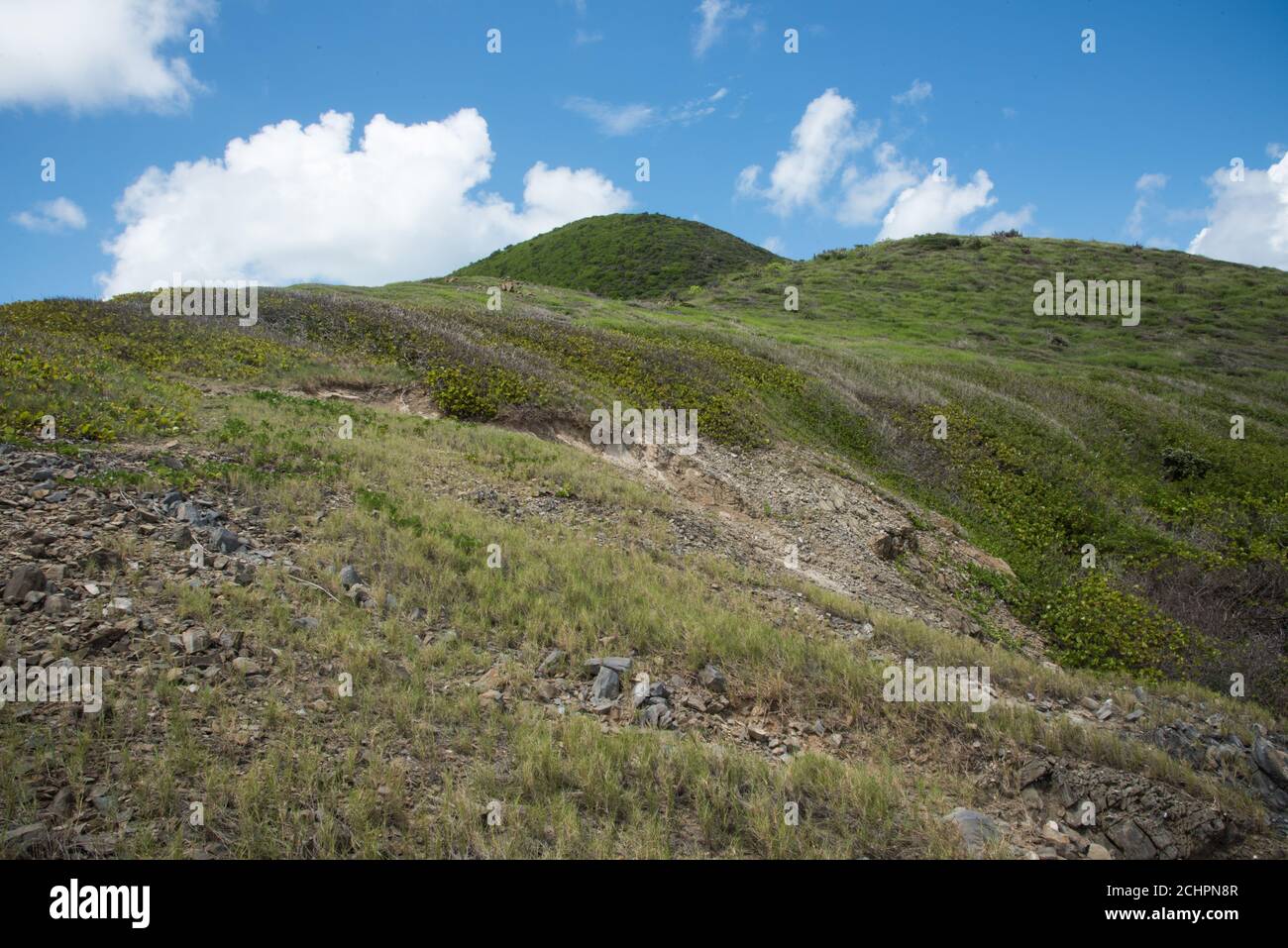 Green, rolling landscape on the east end of St. Croix under a blue sky ...