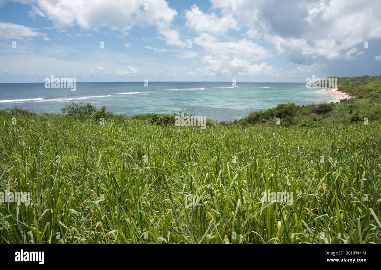 Elevated view over the Caribbean Sea waters with lush, coastal greenery ...