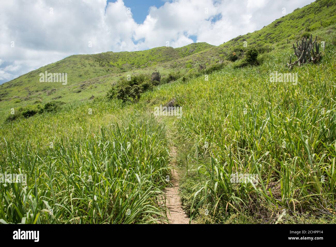Trail through the natural, rolling landscape under a blue sky with ...