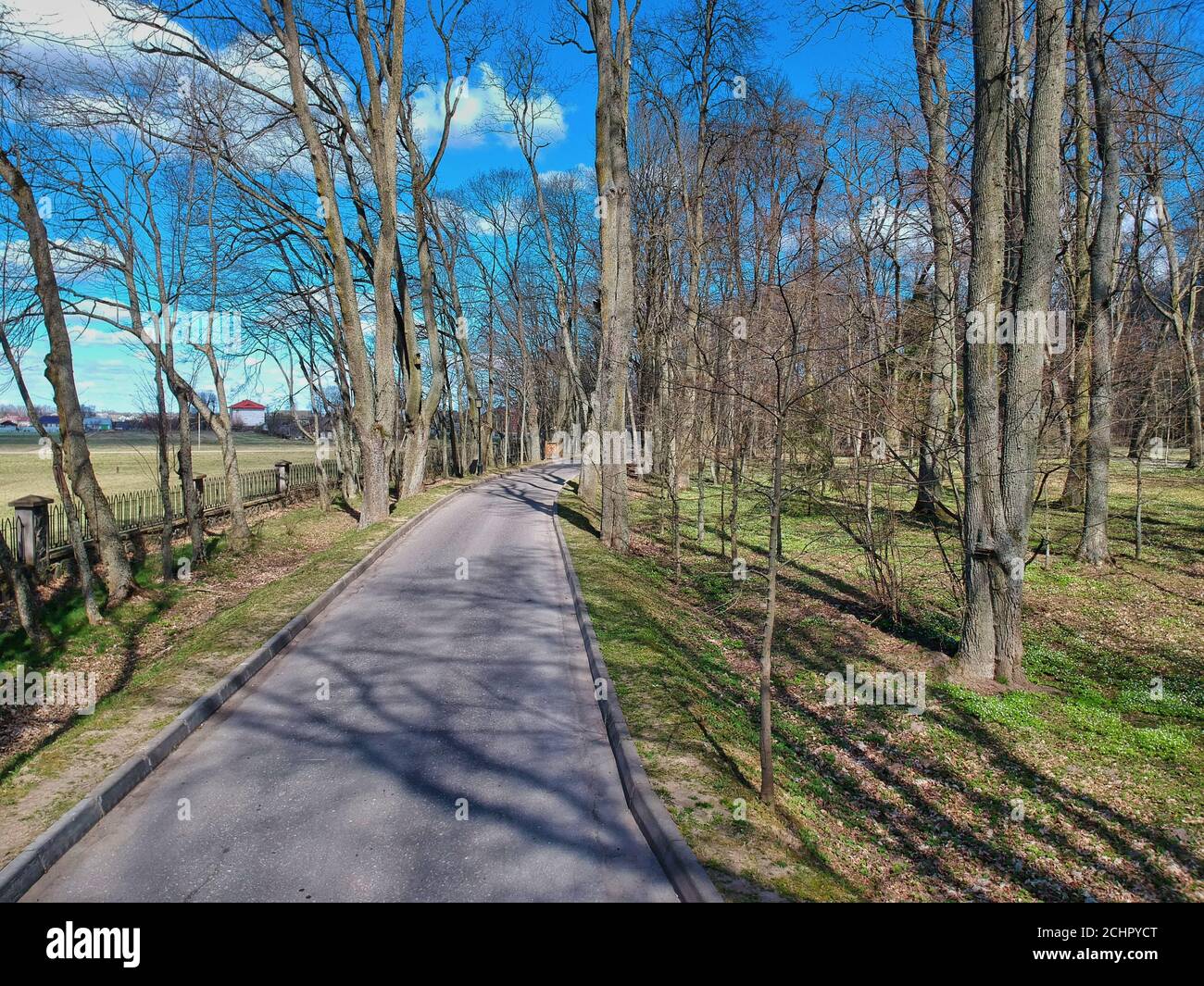 Trail leading into a dry forest on a sunny day Stock Photo - Alamy
