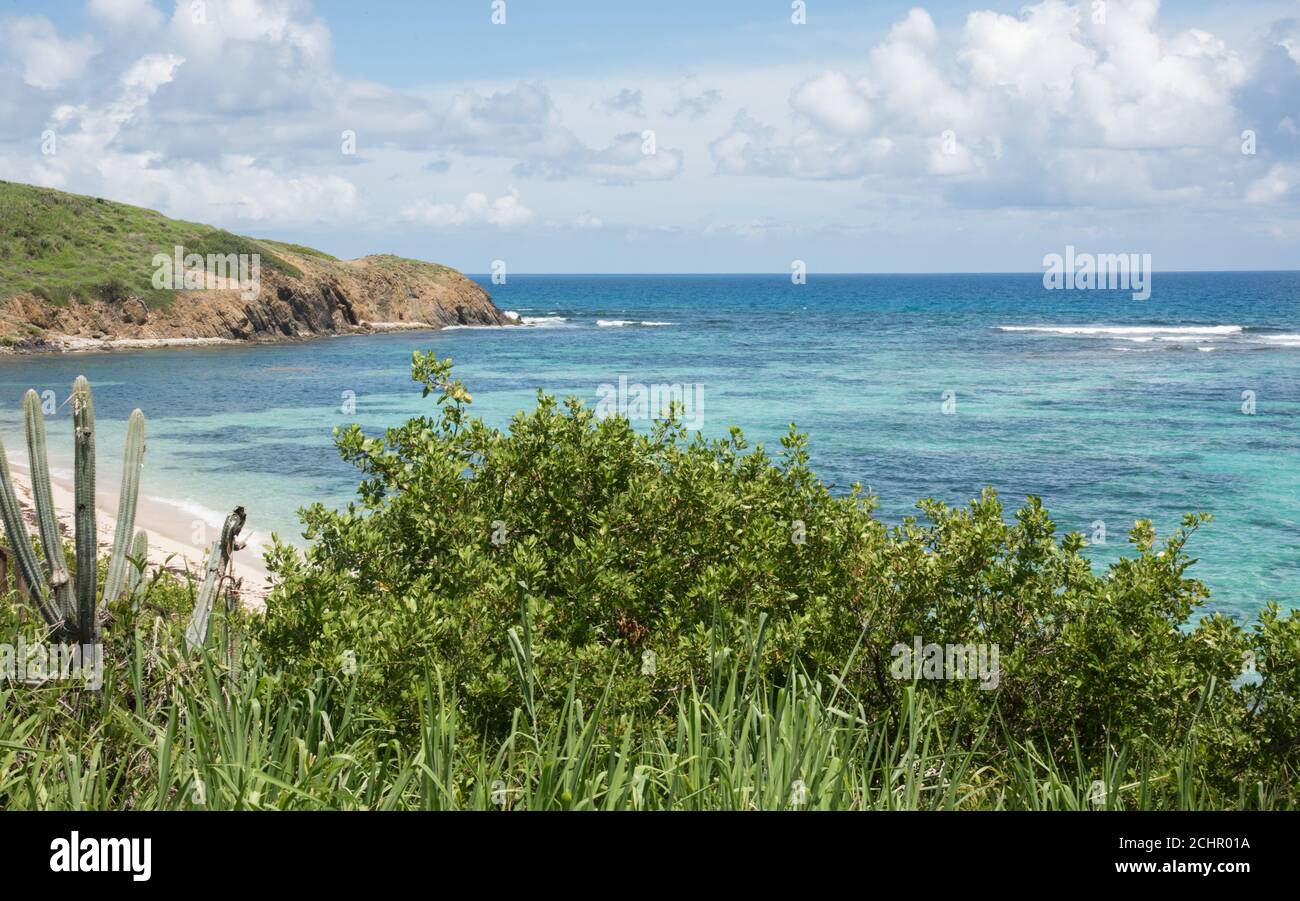 Elevated Caribbean Sea view with lush, coastal greenery on a sunny day ...