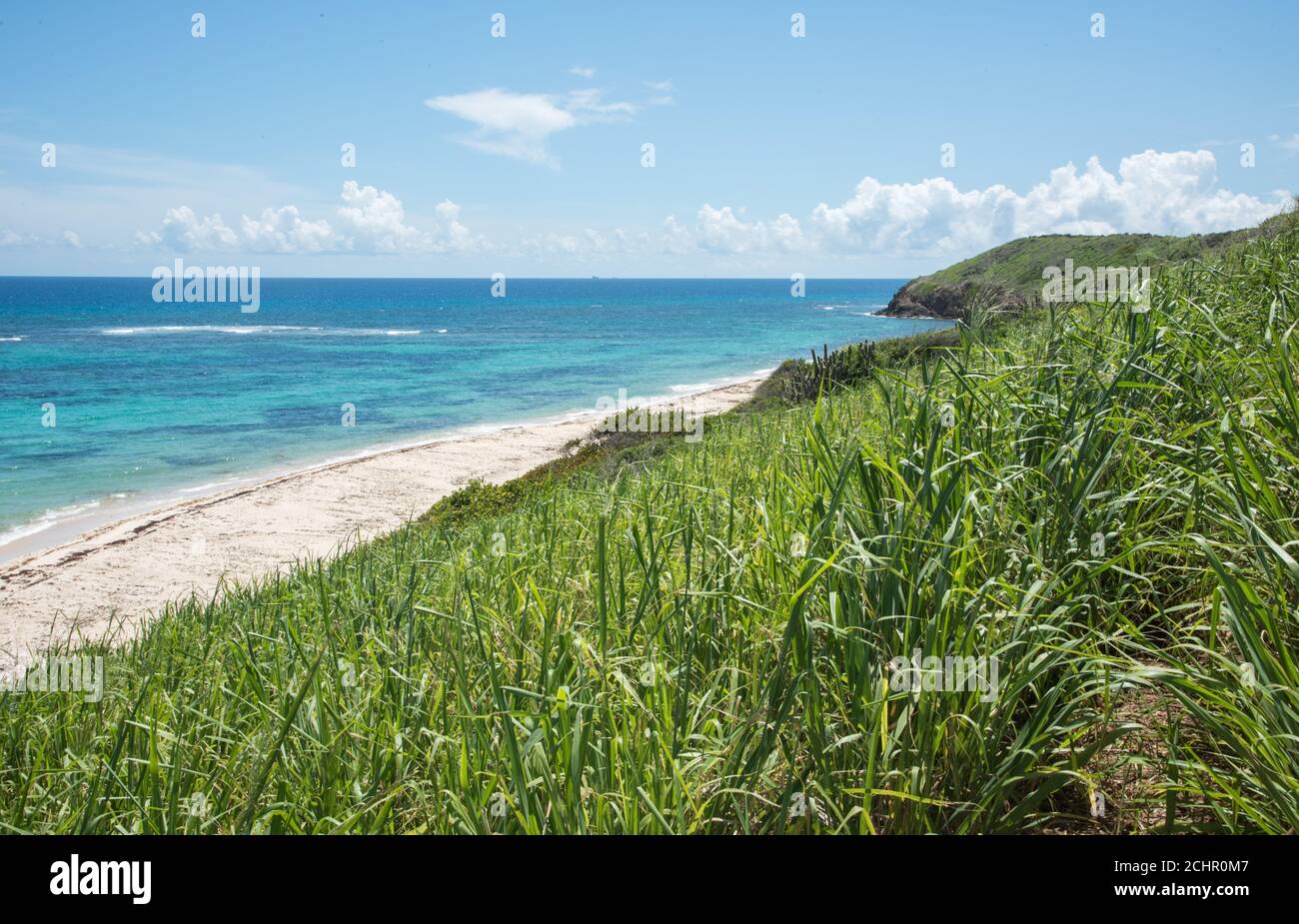 Jack and Isaac Bay with Caribbean Sea waves and coastal plants in the ...
