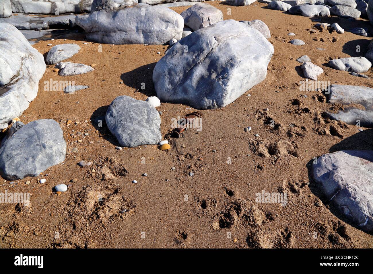 The wreckage of a vehicle partially buried in the sands of a beauty ...