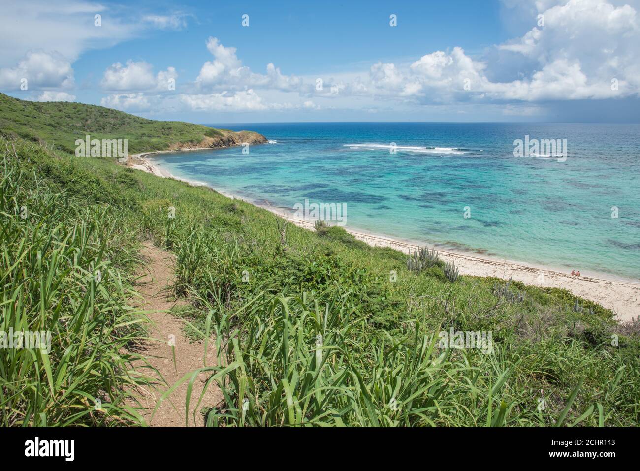 Isaac Bay with Caribbean Sea waves, path and lush, coastal greenery on ...