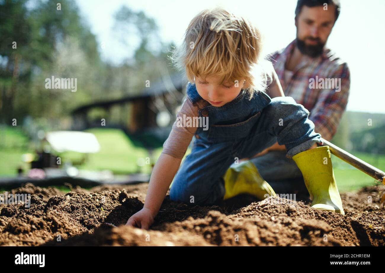 Father with small son working outdoors in garden, sustainable lifestyle ...