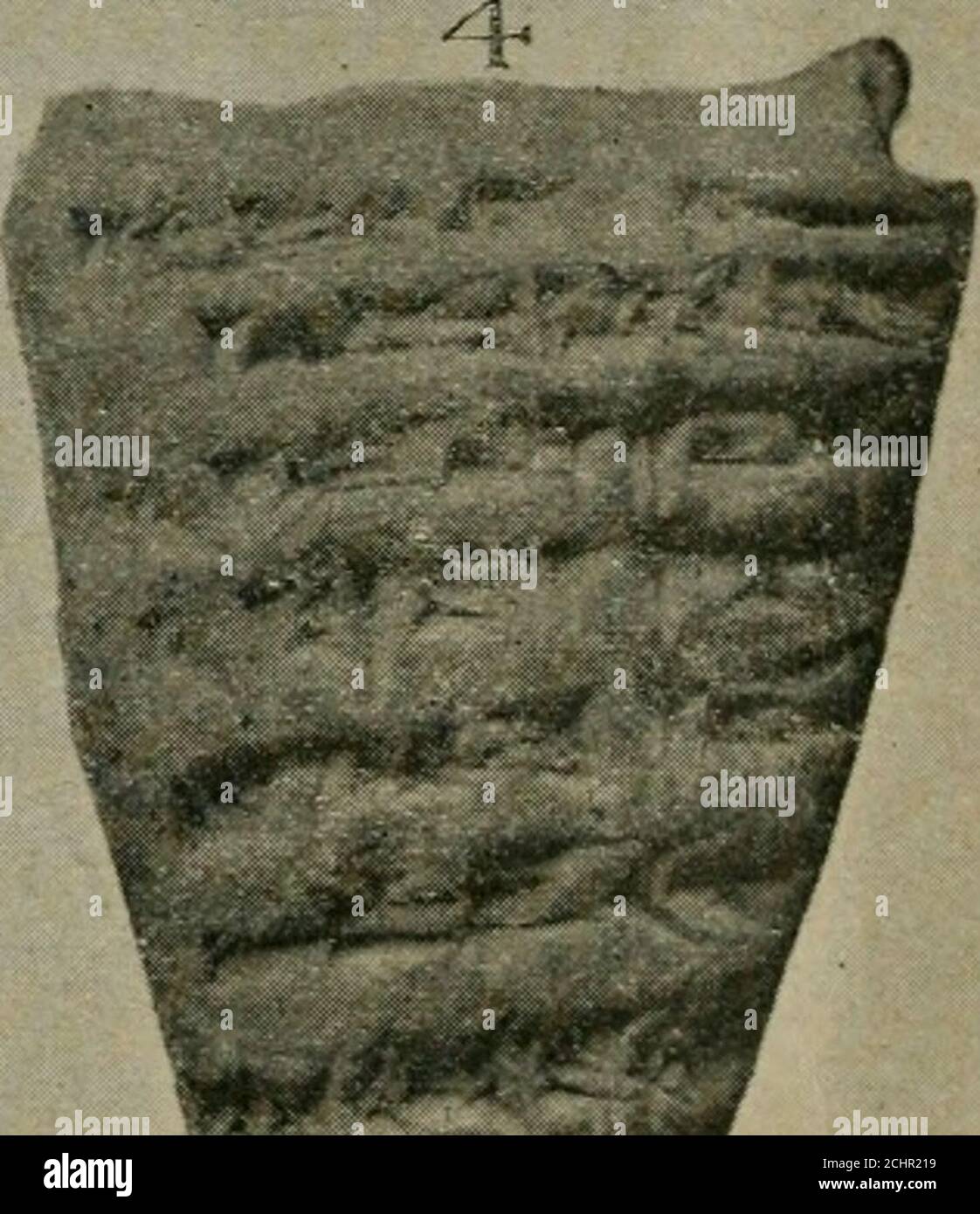 . The Babylonian story of the deluge as told by Assyrian tablets from ...