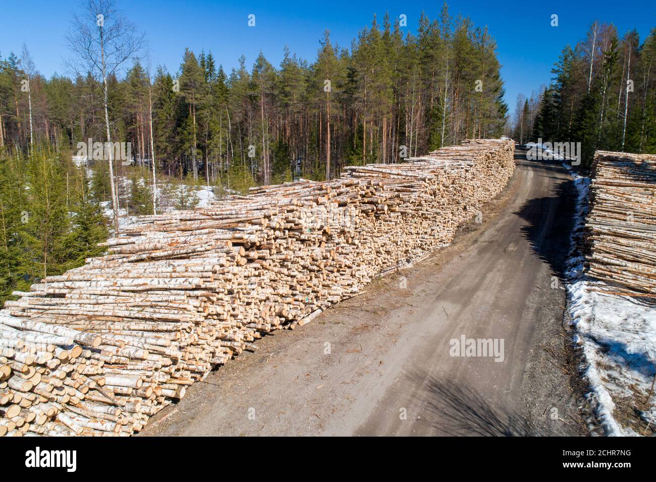 Aerial view of harvested birch log piles along a forest road at Spring ...