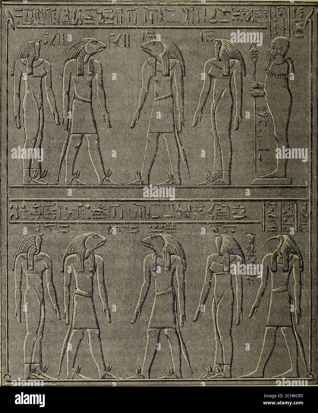 Papyrus harris hi-res stock photography and images - Alamy